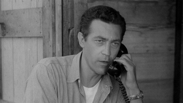 Under the Influence: An Interview with James Karen — Watch Meet Make